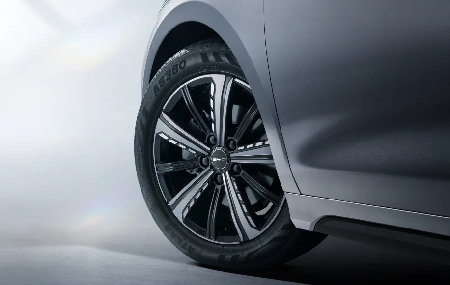 Descubra o BYD King na Vitória Motors